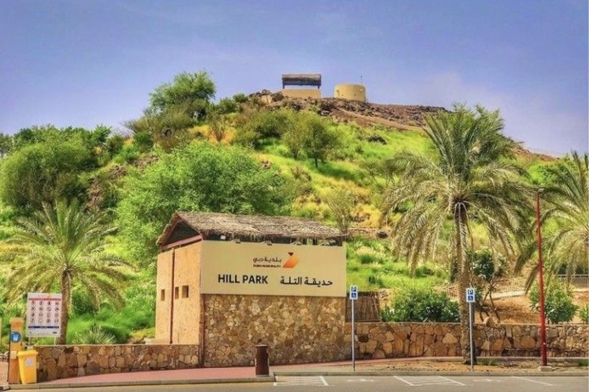 Hatta Hill Park - Dubai - Activities, Ticket Price, Location and Timing